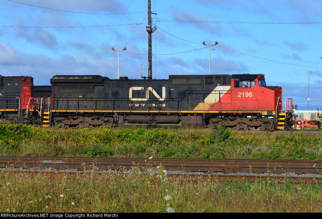 CN 2196